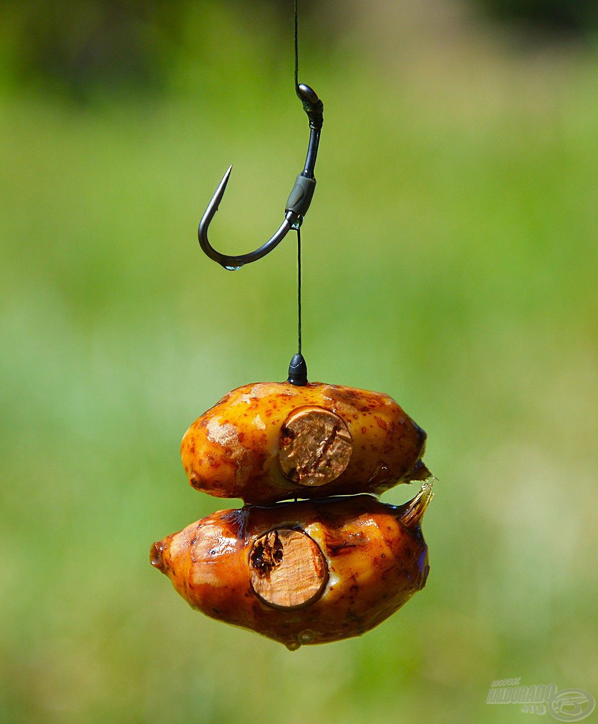 Nyári csali praktikák ponty- és amurhorgászoknak - Haldorádó horgász áruház